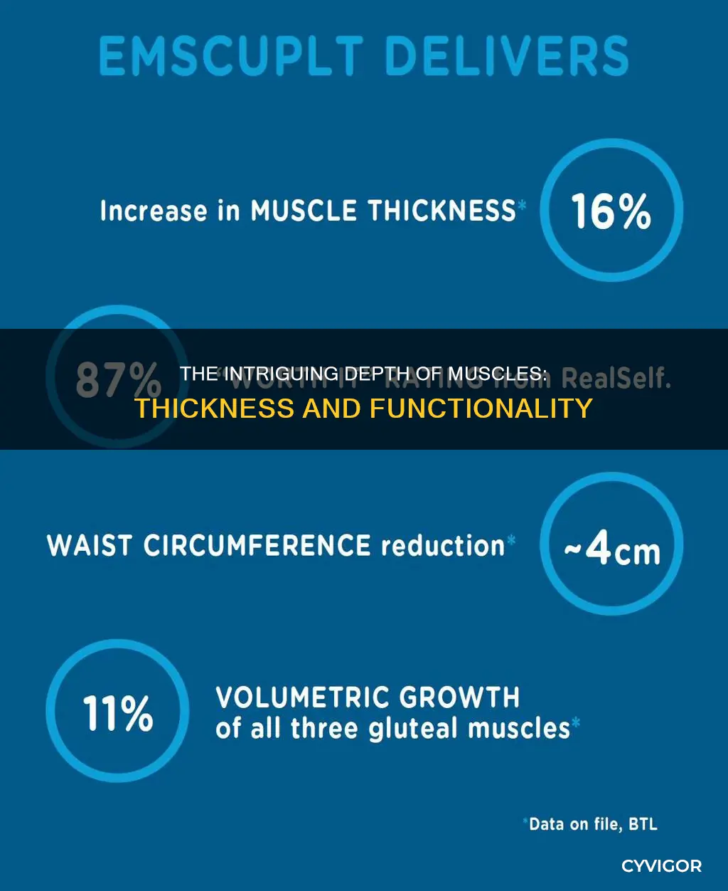 The Intriguing Depth Of Muscles: Thickness And Functionality | CyVigor