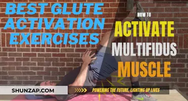 Activating Your Vmo Muscle: A Comprehensive Guide | CyVigor