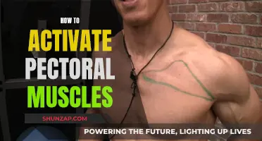 Activating Your Vmo Muscle: A Comprehensive Guide | CyVigor