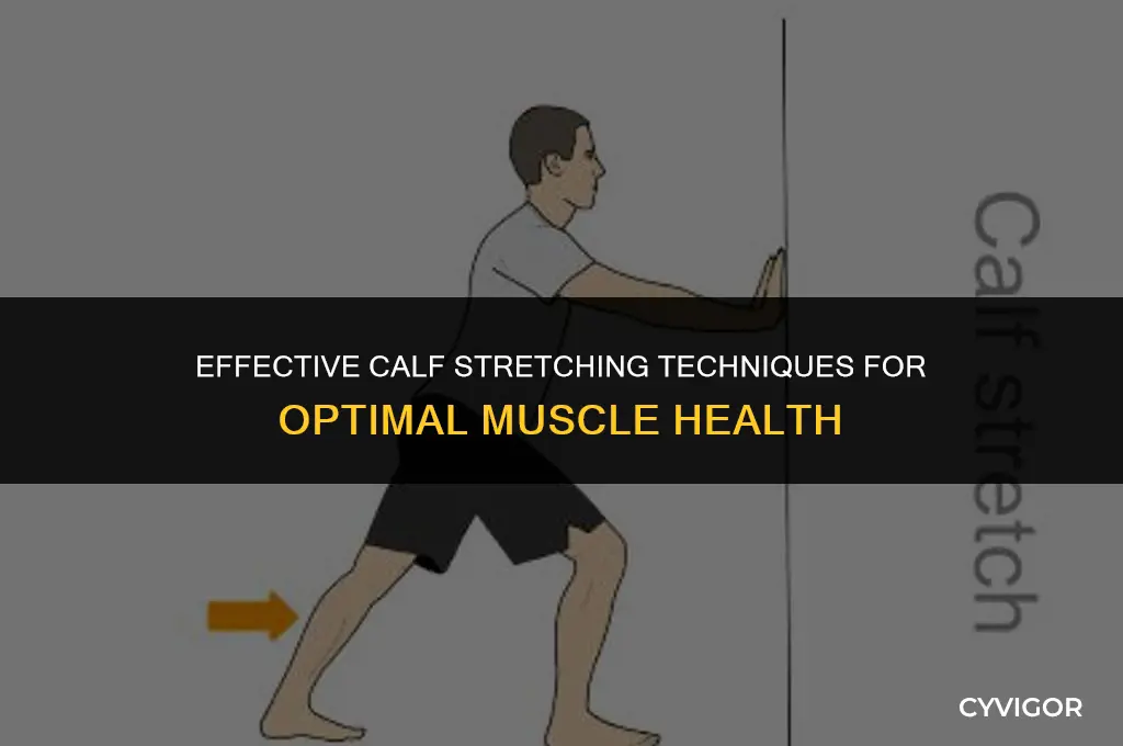 Effective Calf Stretching Techniques For Optimal Muscle Health | CyVigor