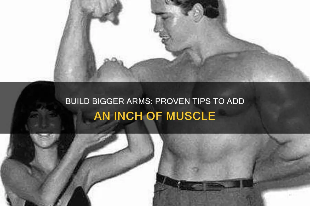 Build Bigger Arms: Proven Tips To Add An Inch Of Muscle | CyVigor