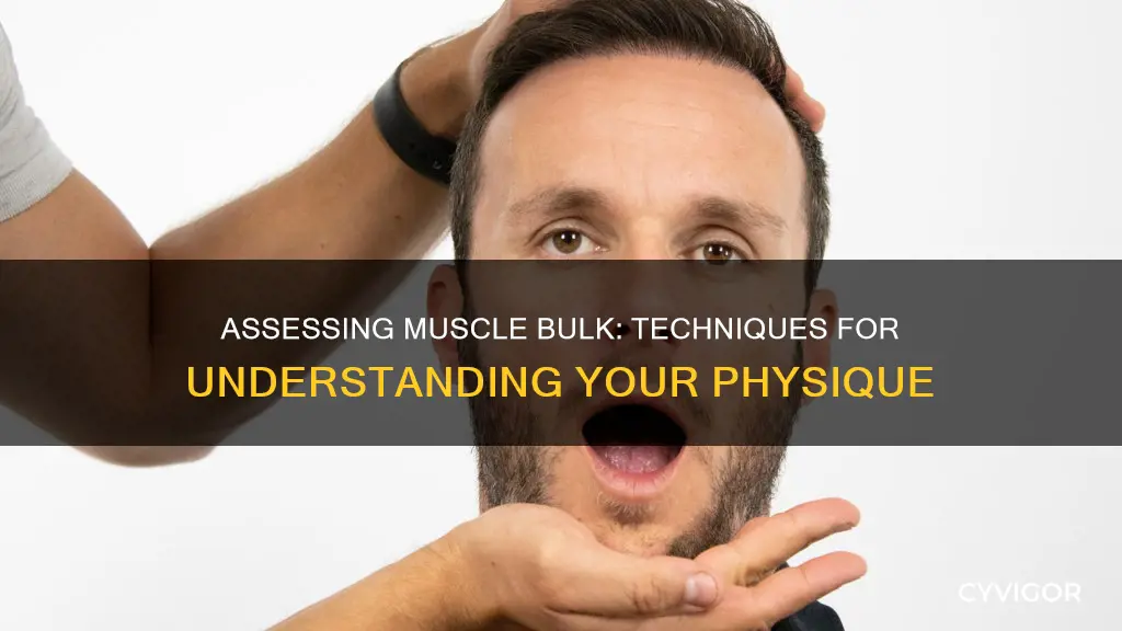 Assessing Muscle Bulk: Techniques For Understanding Your Physique | CyVigor