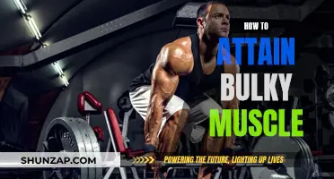 Assessing Muscle Function: Techniques For Understanding Muscle ...