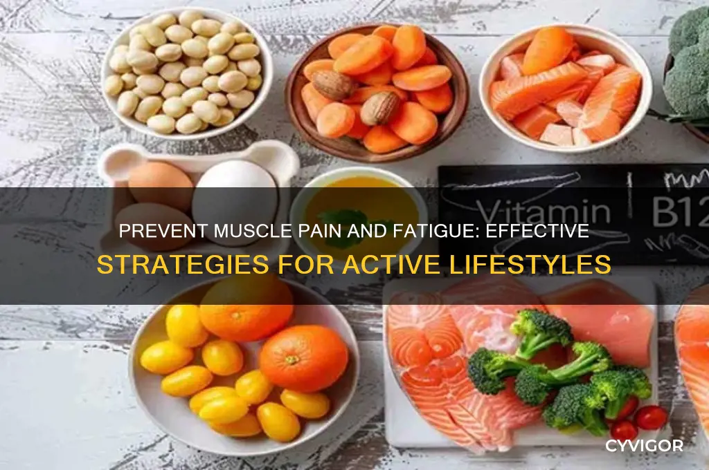 Prevent Muscle Pain And Fatigue: Effective Strategies For Active ...