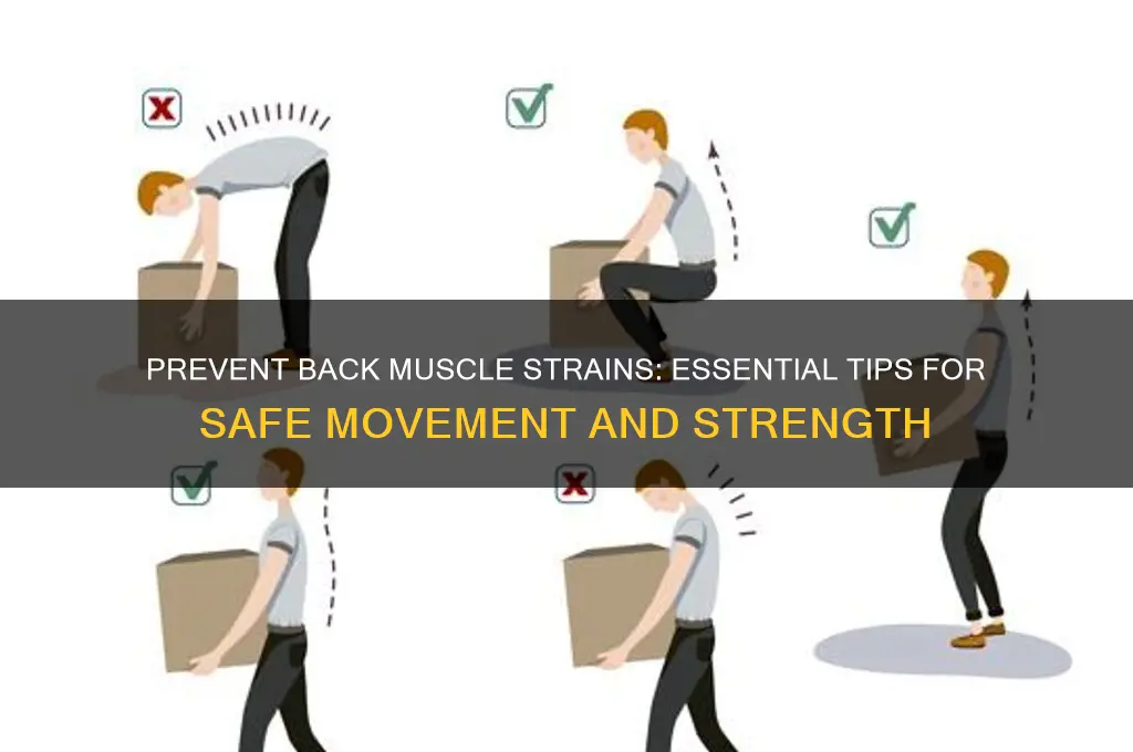 Prevent Back Muscle Strains: Essential Tips For Safe Movement And ...