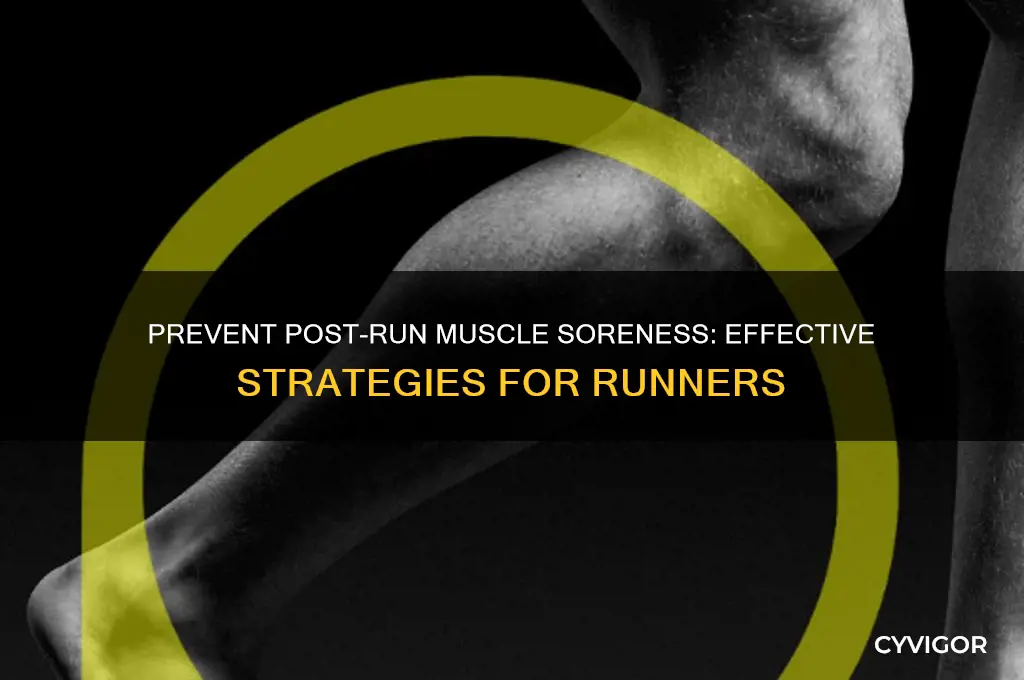 Prevent Post-Run Muscle Soreness: Effective Strategies For Runners ...