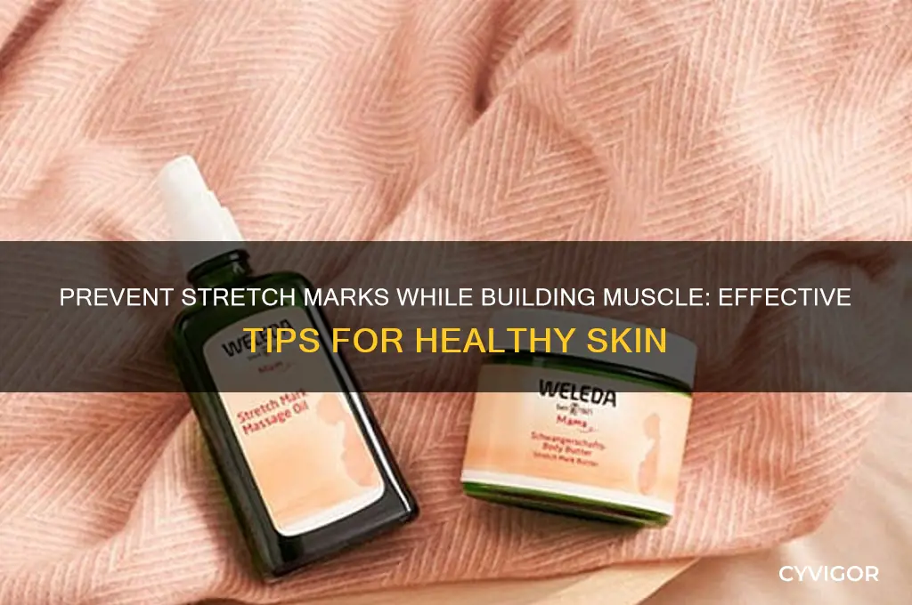 Prevent Stretch Marks While Building Muscle: Effective Tips For Healthy ...
