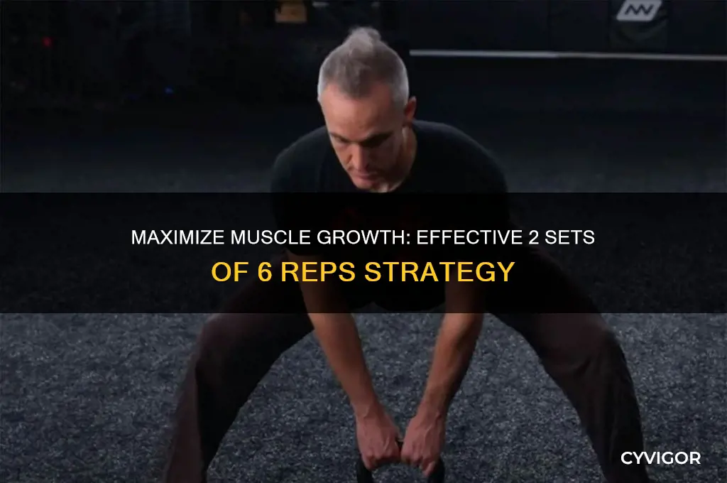 Maximize Muscle Growth: Effective 2 Sets Of 6 Reps Strategy | CyVigor