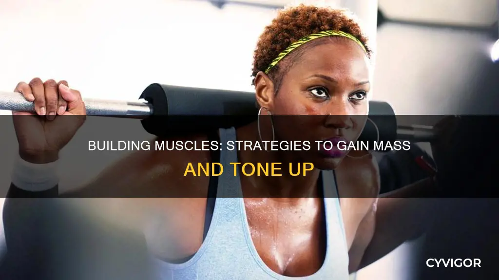 Building Muscles: Strategies To Gain Mass And Tone Up | CyVigor