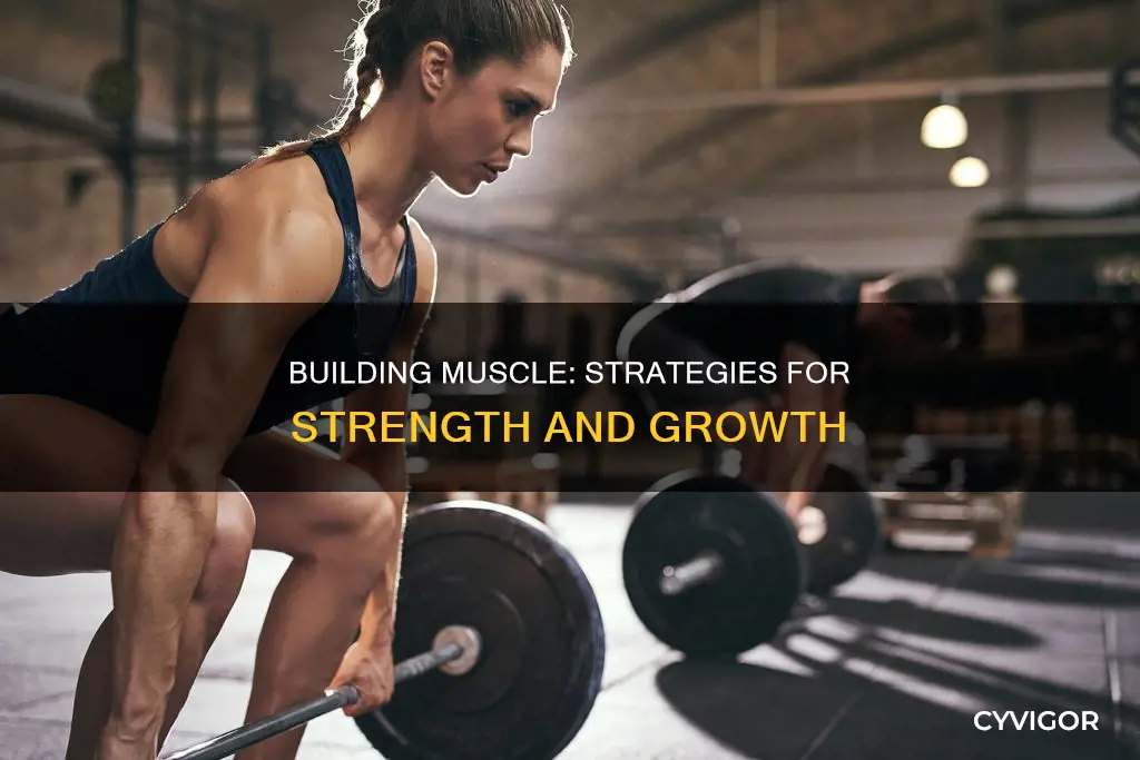 Building Muscle: Strategies For Strength And Growth | CyVigor