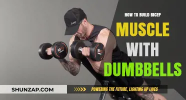 Sculpting Strong Biceps: A Comprehensive Guide To Muscle Building | CyVigor