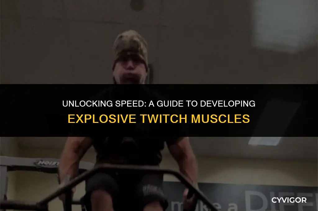 Unlocking Speed: A Guide To Developing Explosive Twitch Muscles | CyVigor