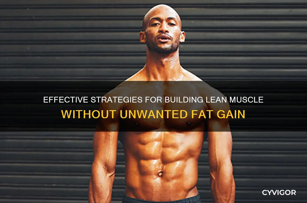 Effective Strategies For Building Lean Muscle Without Unwanted Fat Gain ...