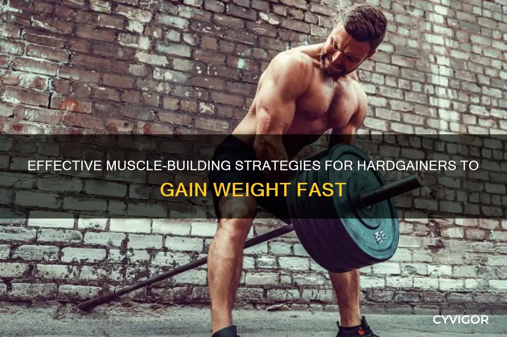 Effective Muscle-Building Strategies For Hardgainers To Gain Weight ...