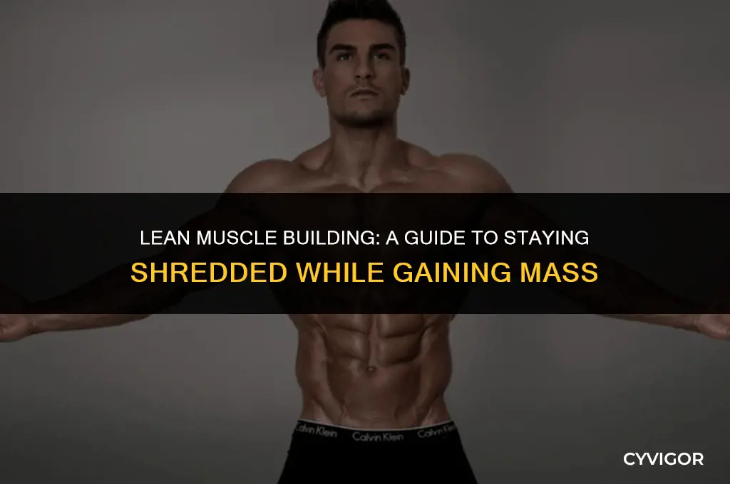 Lean Muscle Building: A Guide To Staying Shredded While Gaining Mass ...