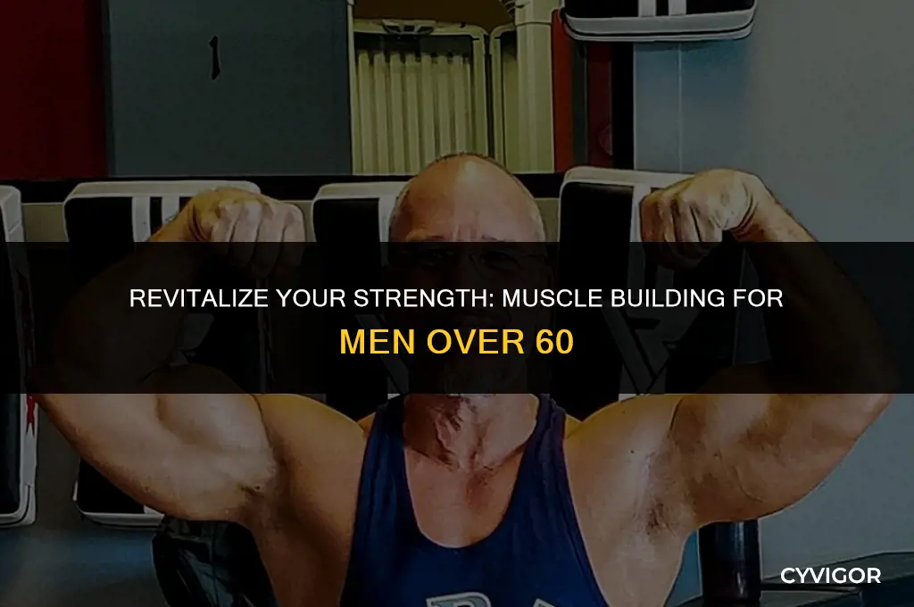 Revitalize Your Strength: Muscle Building For Men Over 60 | CyVigor