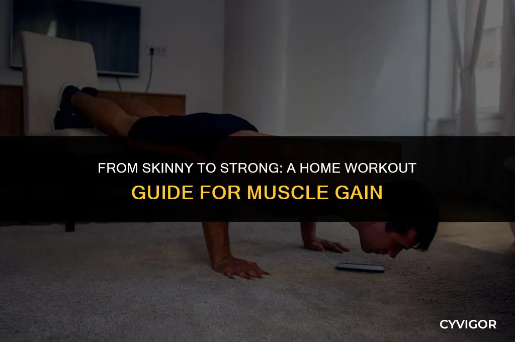 From Skinny To Strong: A Home Workout Guide For Muscle Gain | CyVigor