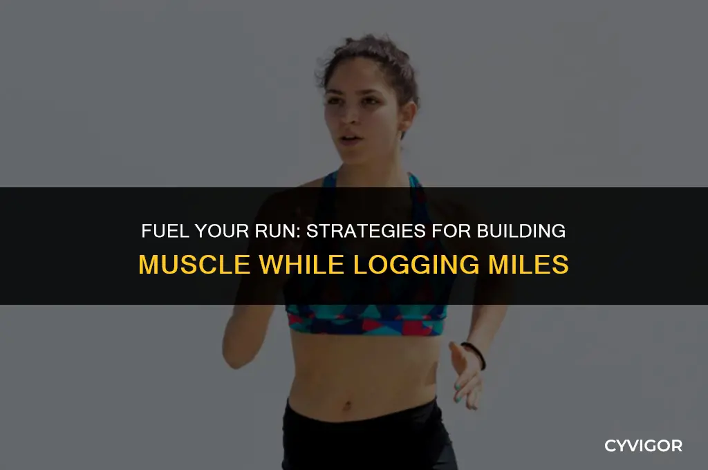 Fuel Your Run: Strategies For Building Muscle While Logging Miles | CyVigor