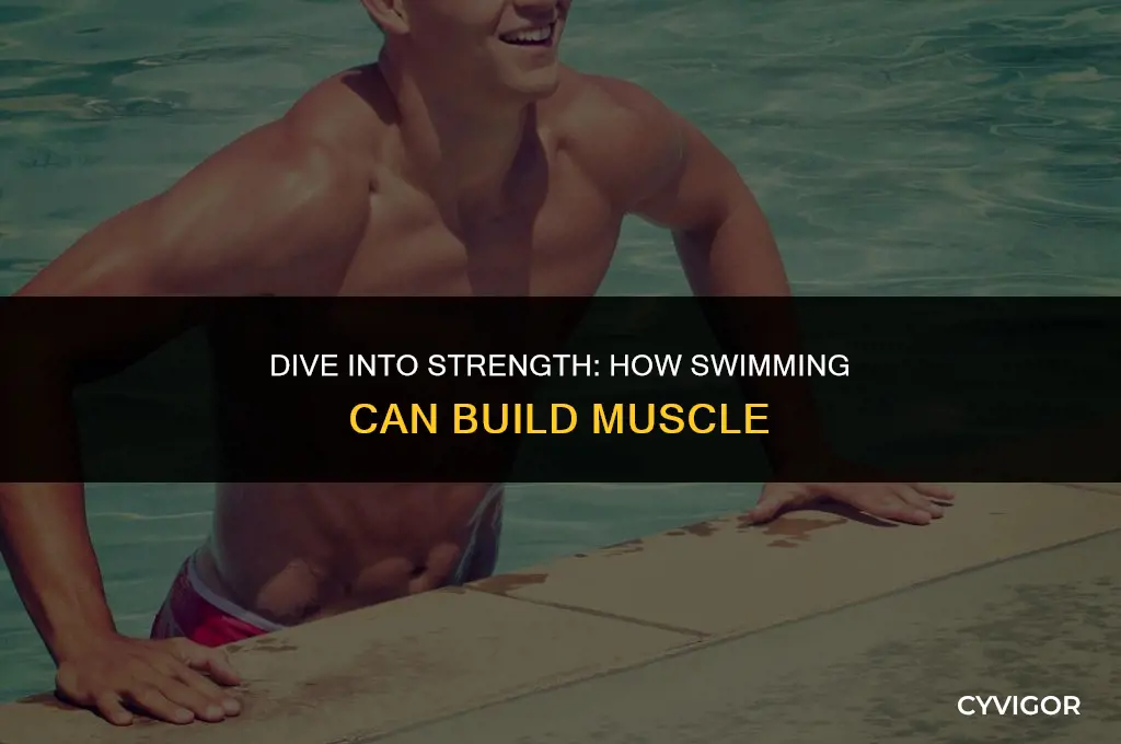 Dive Into Strength: How Swimming Can Build Muscle | CyVigor