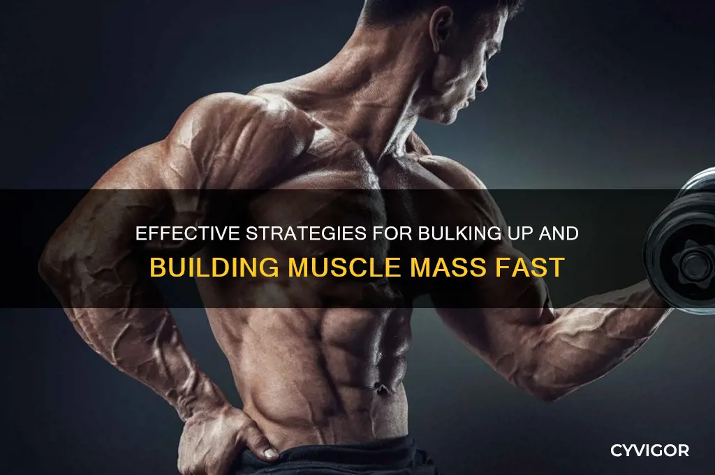 Effective Strategies For Bulking Up And Building Muscle Mass Fast | CyVigor