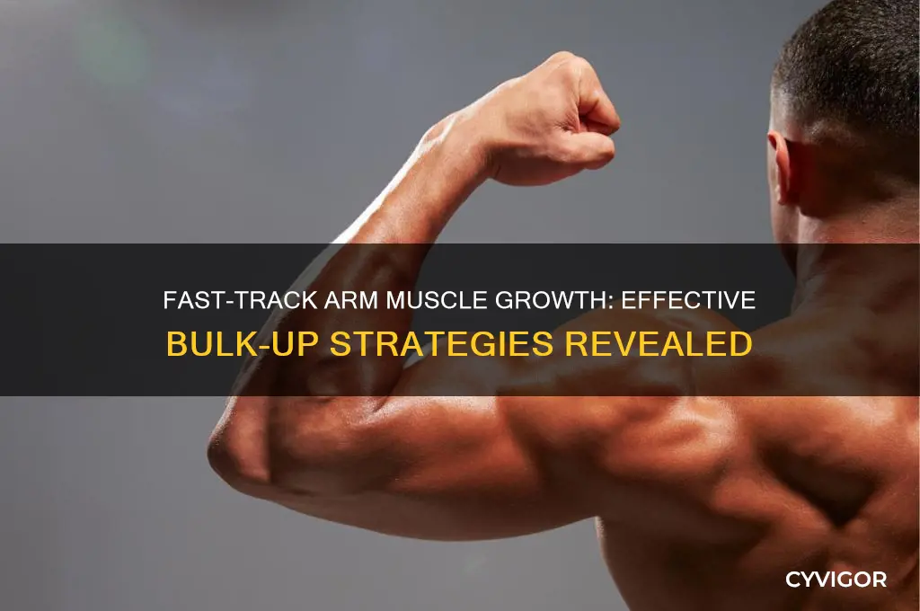 Fast-Track Arm Muscle Growth: Effective Bulk-Up Strategies Revealed ...
