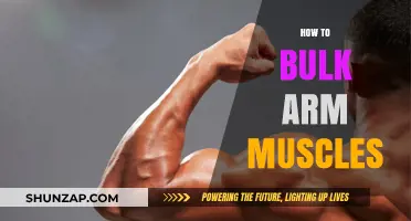 Optimal Electrode Placement For Effective Arm Muscle Stimulation ...