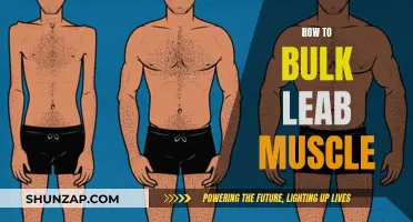 Hand Muscle Growth: Strategies For Bulking Up | CyVigor