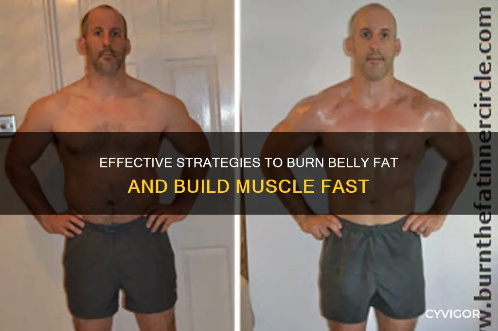 Effective Strategies To Burn Belly Fat And Build Muscle Fast | CyVigor