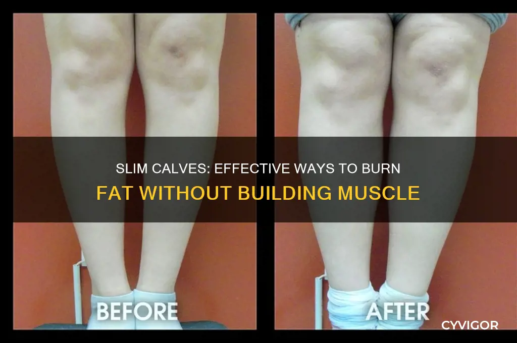 Slim Calves: Effective Ways To Burn Fat Without Building Muscle | CyVigor