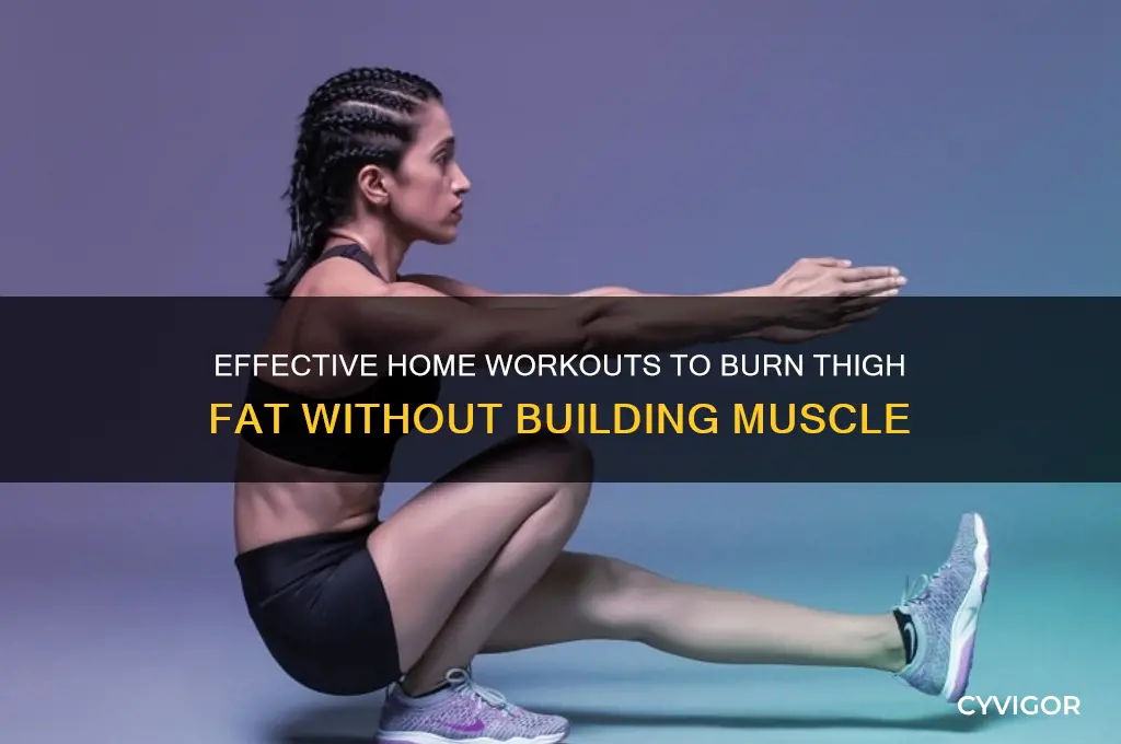 Effective Home Workouts To Burn Thigh Fat Without Building Muscle | CyVigor