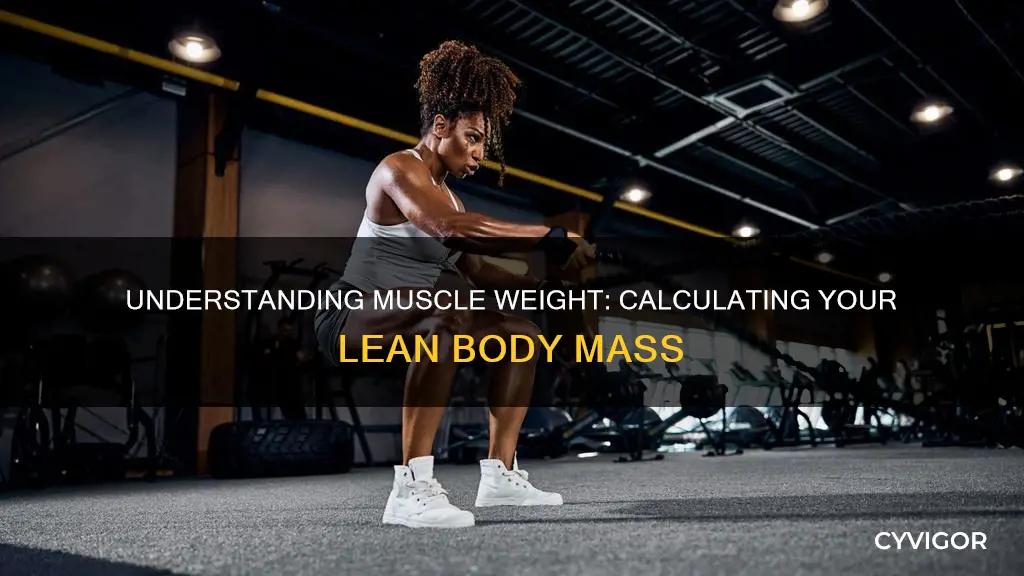 Understanding Muscle Weight: Calculating Your Lean Body Mass | CyVigor