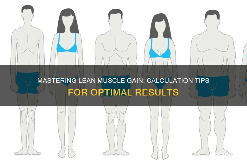 Mastering Lean Muscle Gain: Calculation Tips For Optimal Results | CyVigor
