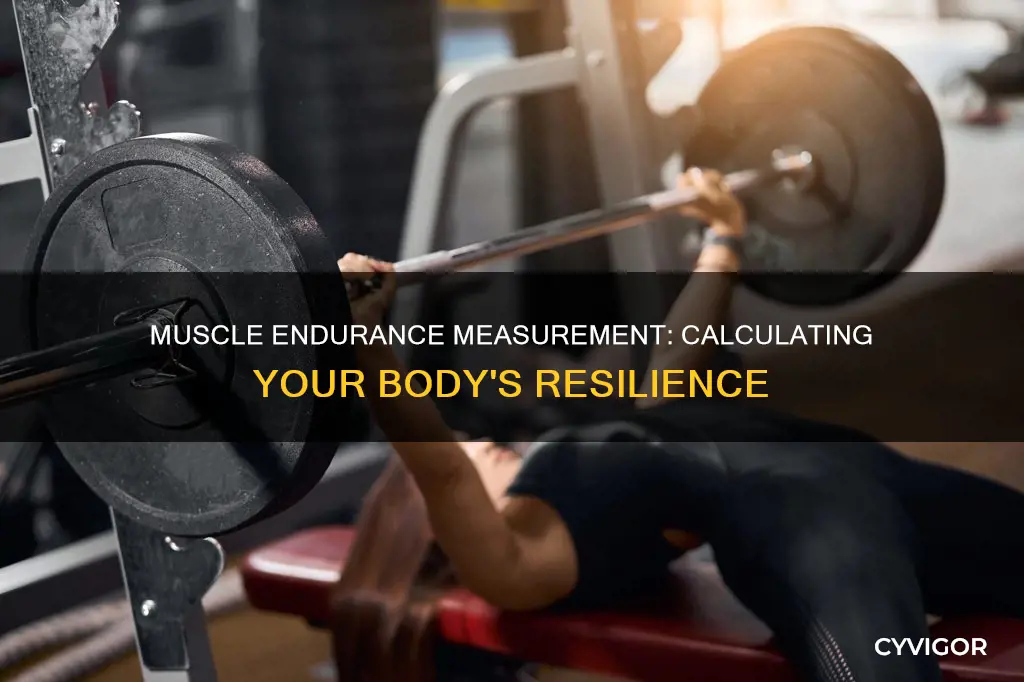 Muscle Endurance Measurement: Calculating Your Body's Resilience | CyVigor