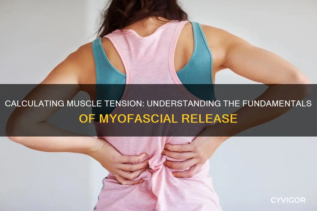 Calculating Muscle Tension: Understanding The Fundamentals Of ...