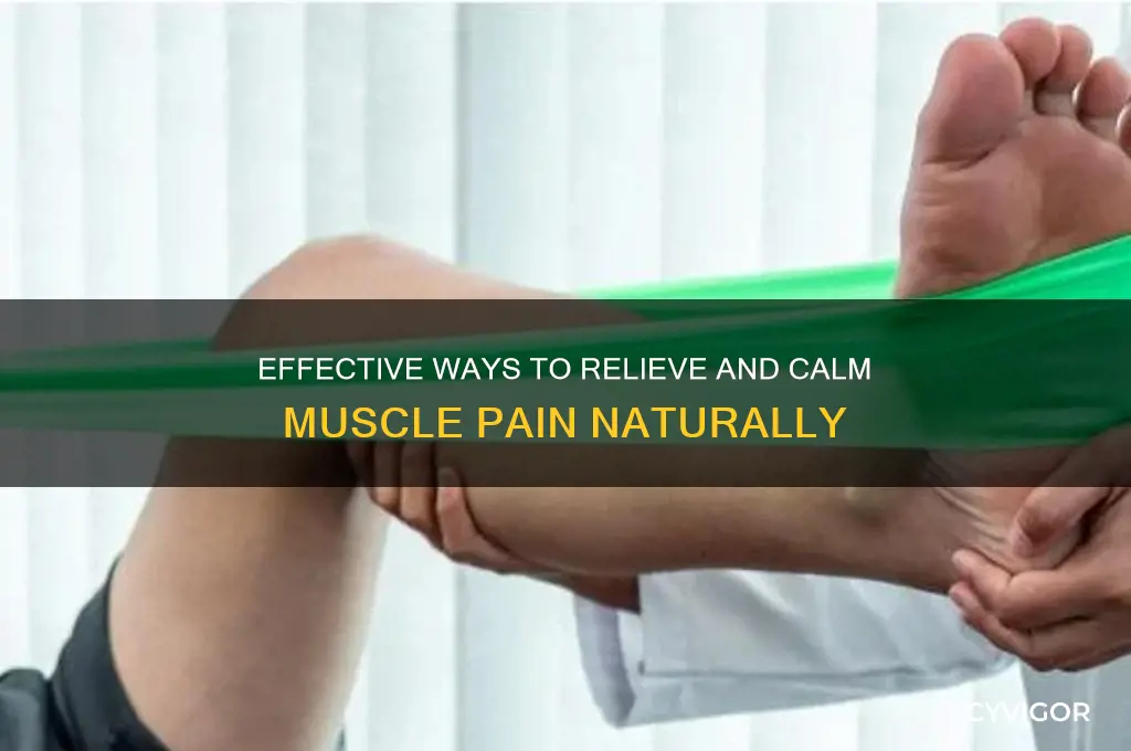Effective Ways To Relieve And Calm Muscle Pain Naturally | CyVigor