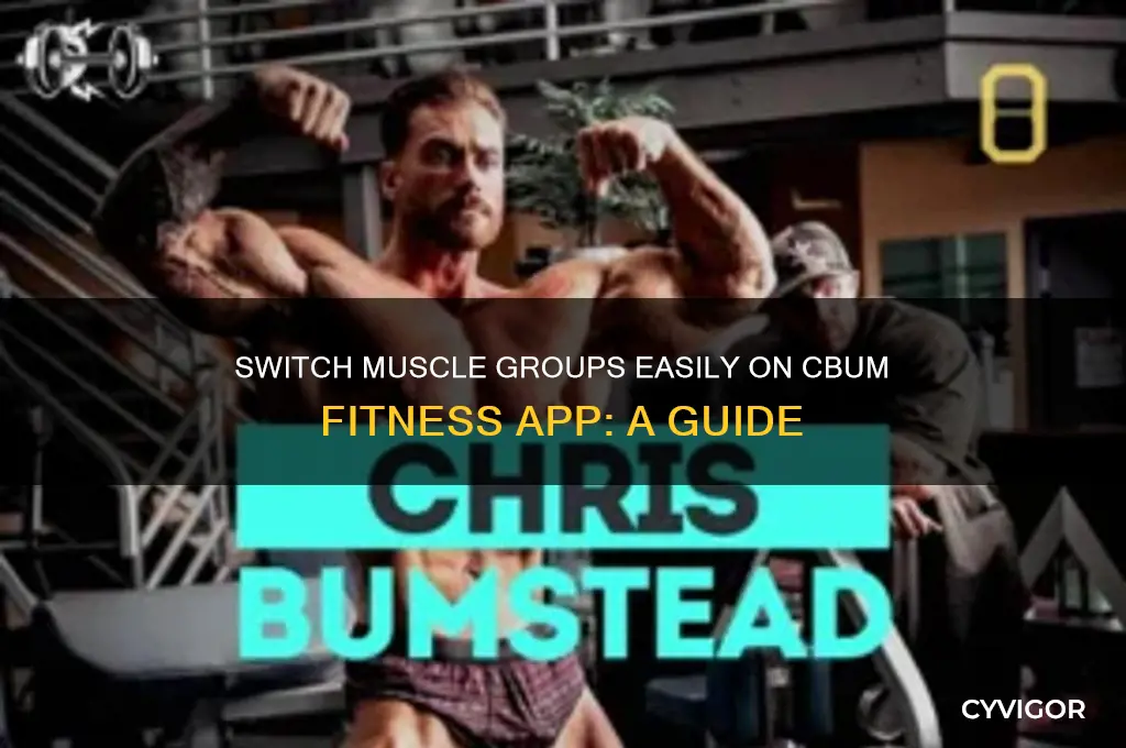 Switch Muscle Groups Easily On Cbum Fitness App: A Guide | CyVigor