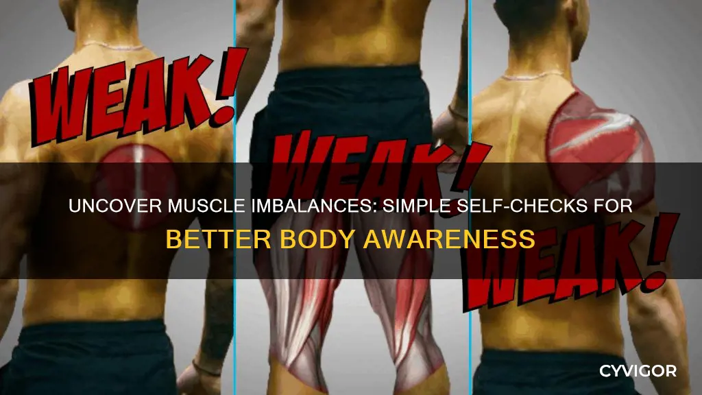 Uncover Muscle Imbalances: Simple Self-Checks For Better Body Awareness ...