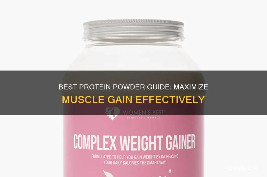 Best Protein Powder Guide: Maximize Muscle Gain Effectively | CyVigor