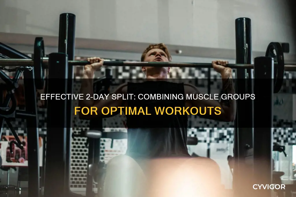 Effective 2-Day Split: Combining Muscle Groups For Optimal Workouts ...