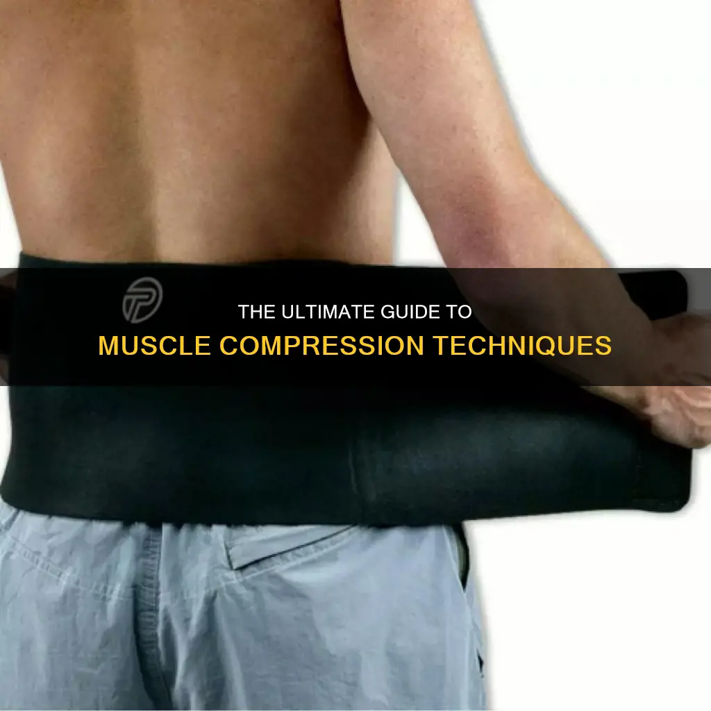The Ultimate Guide To Muscle Compression Techniques | CyVigor