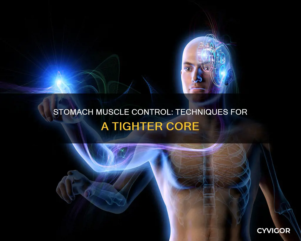 Stomach Muscle Control: Techniques For A Tighter Core | CyVigor