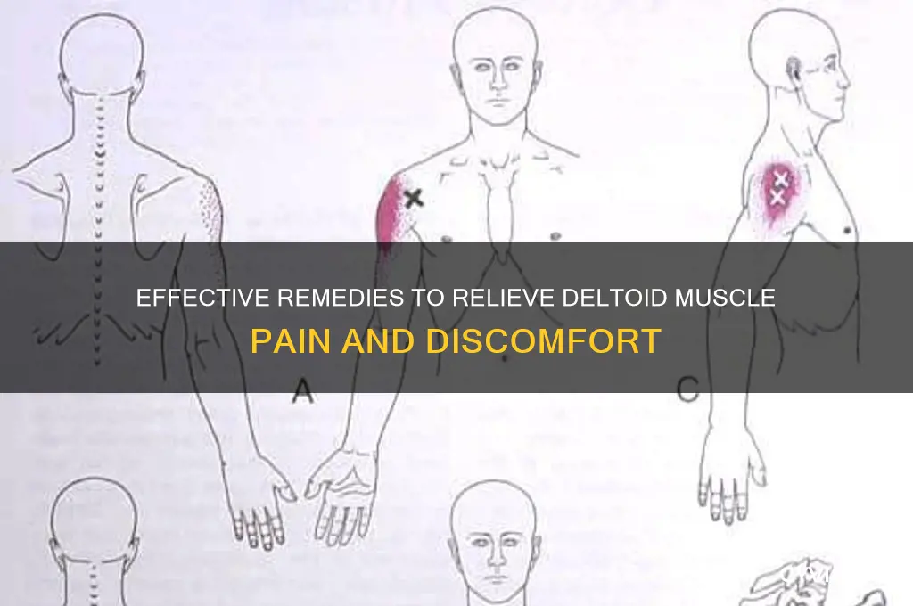 Effective Remedies To Relieve Deltoid Muscle Pain And Discomfort | CyVigor