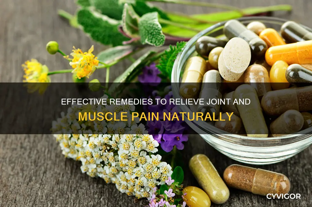 Effective Remedies To Relieve Joint And Muscle Pain Naturally | CyVigor