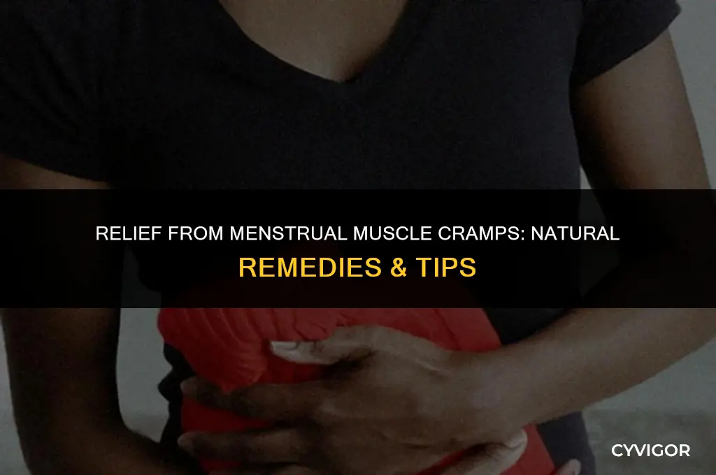 Relief From Menstrual Muscle Cramps: Natural Remedies & Tips | CyVigor