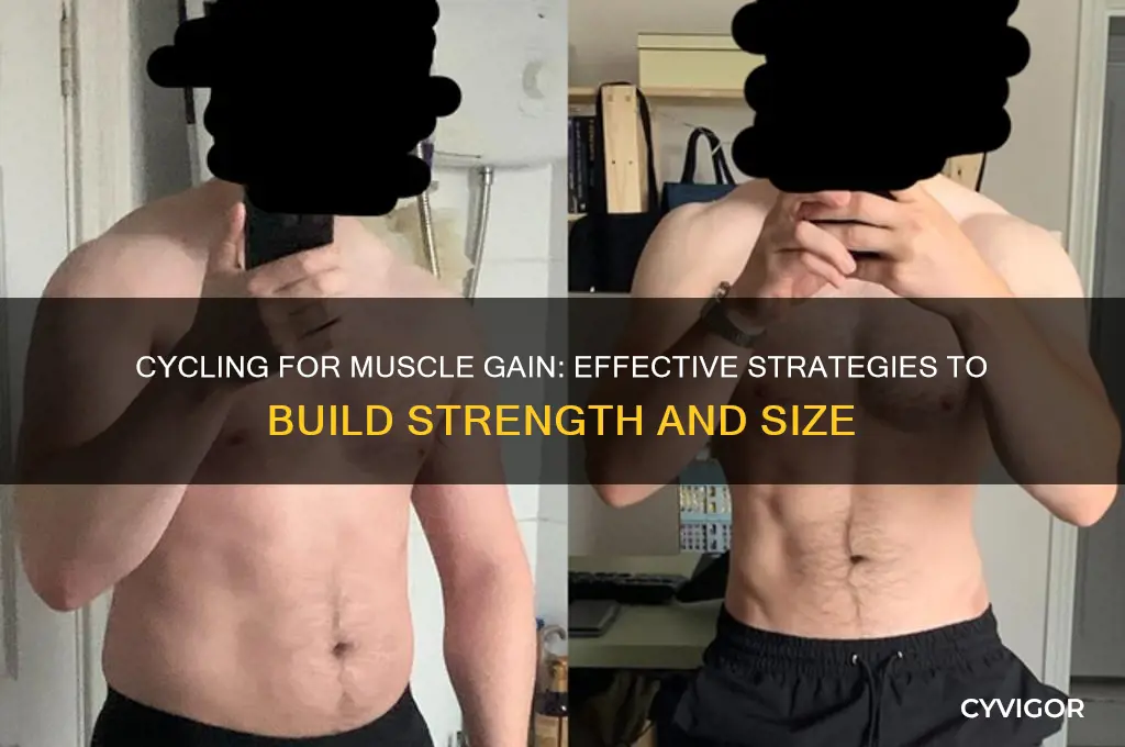 Cycling For Muscle Gain: Effective Strategies To Build Strength And ...