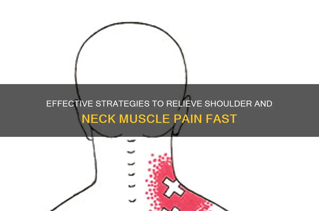 Effective Strategies To Relieve Shoulder And Neck Muscle Pain Fast ...