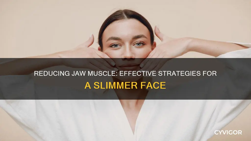 Reducing Jaw Muscle: Effective Strategies For A Slimmer Face | CyVigor