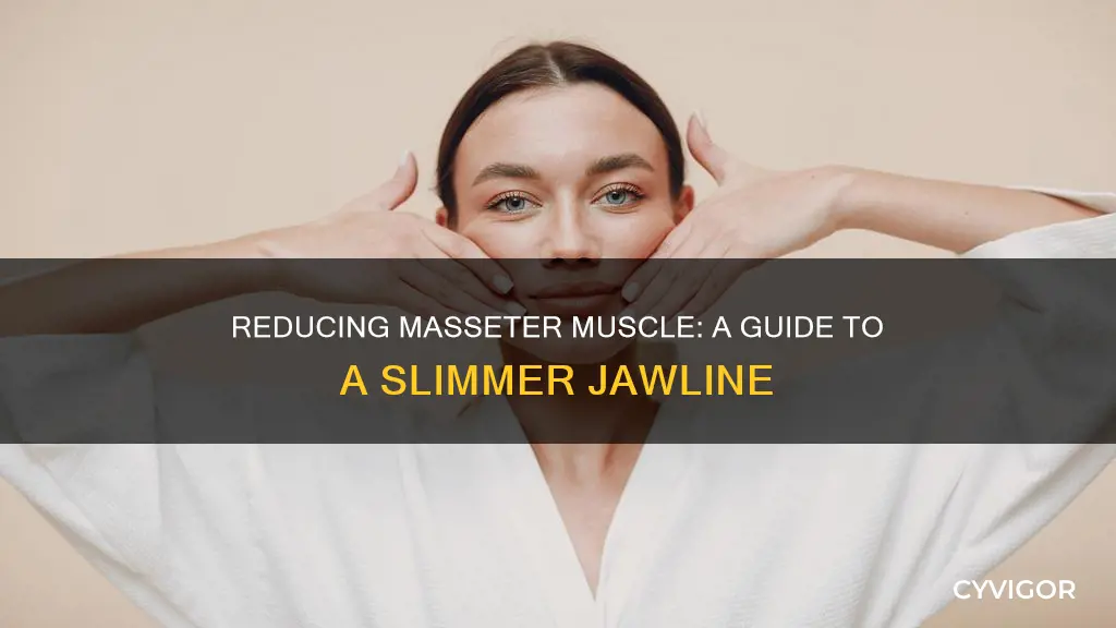 Reducing Masseter Muscle: A Guide To A Slimmer Jawline | CyVigor