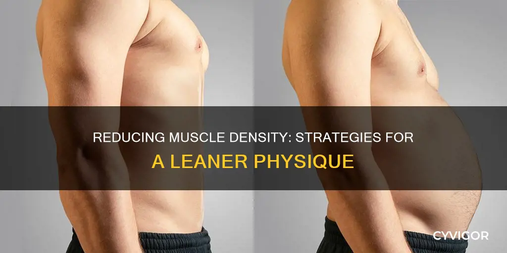 Reducing Muscle Density: Strategies For A Leaner Physique | CyVigor