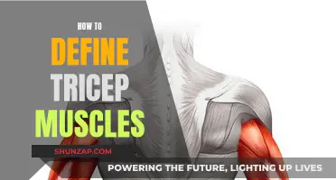 Describing Muscles: A Guide To Powerful Anatomy Descriptions | CyVigor